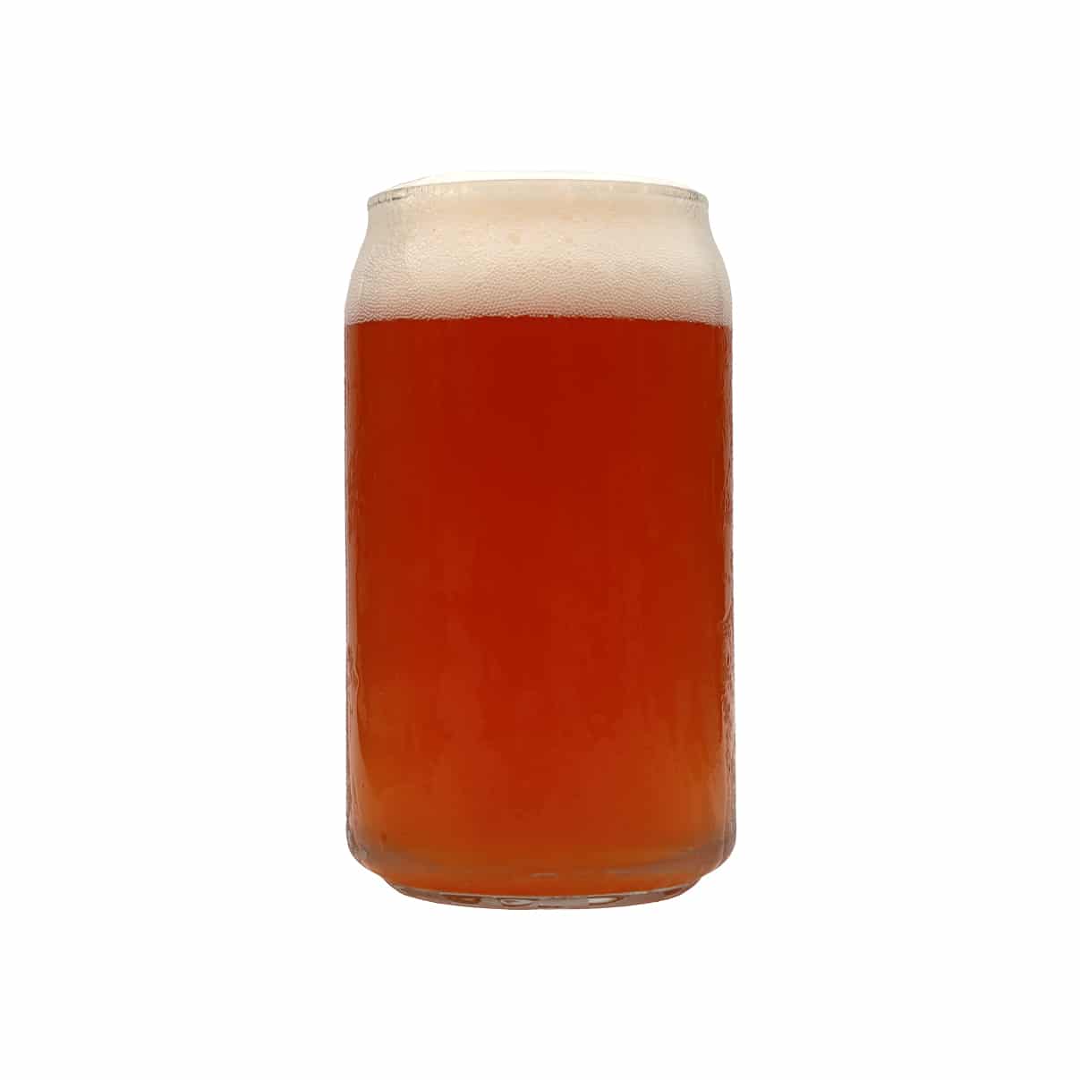 FRUITIE PATOOTIE RASPBERRY WATERMELON - MudHen Brewing Company